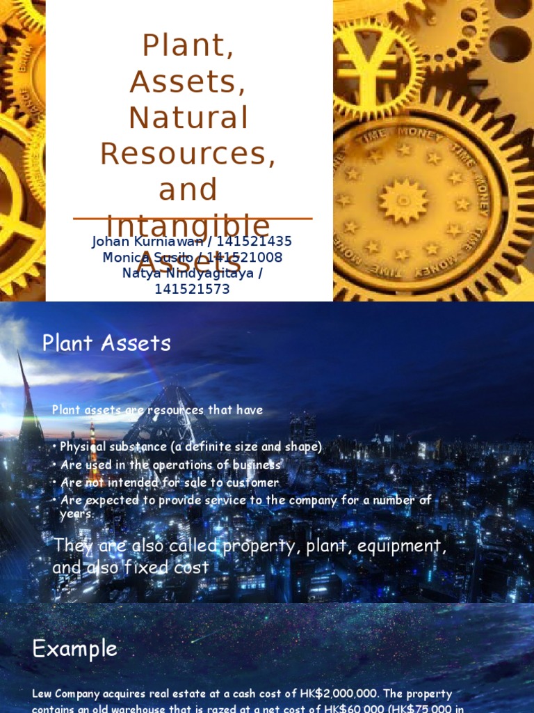 Plant, Assets, Natural Resources and Intangible Assets | Depreciation ...