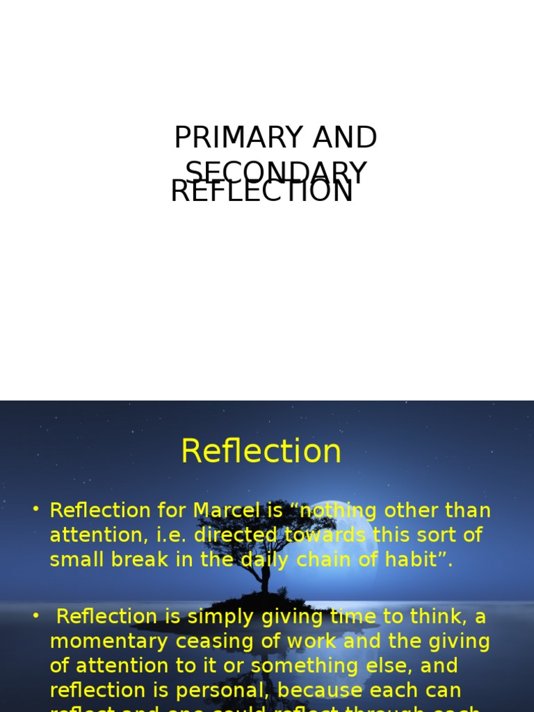 Reflection Primary and Secondary | PDF