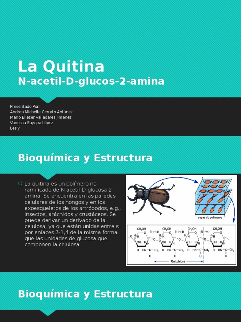 La Quitina Bioquimica | PDF | Química | Productos quimicos