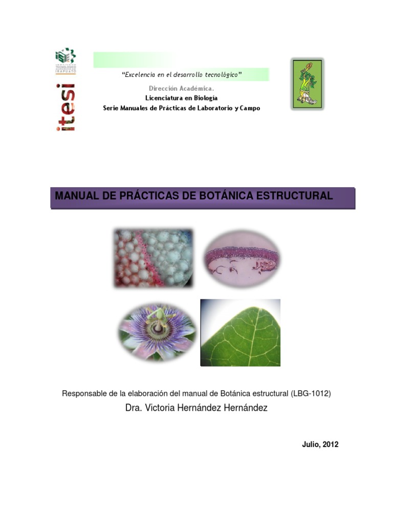 Atlas de Anatomia Vegetal | PDF | Hoja | Tallo de la planta