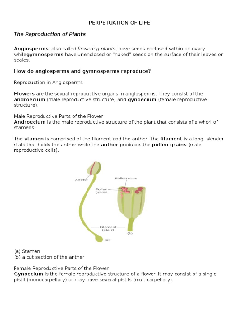 The Perpetuation of Life | Fertilisation | Dna
