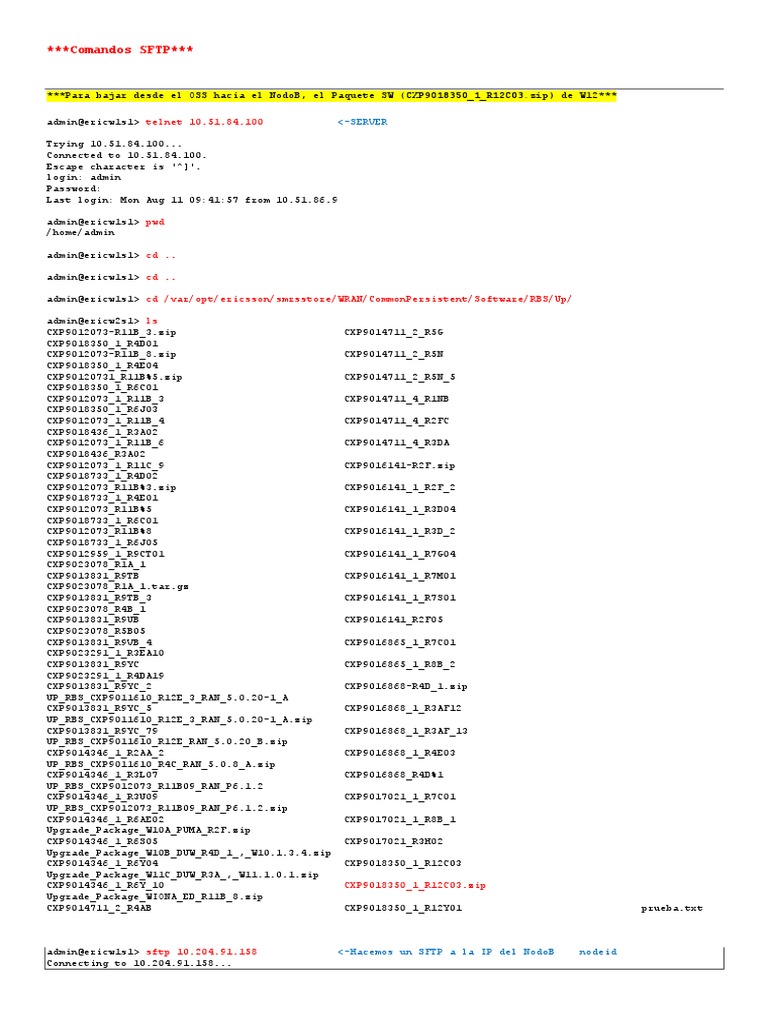 SFTP Comandos | PDF | Business | Computers