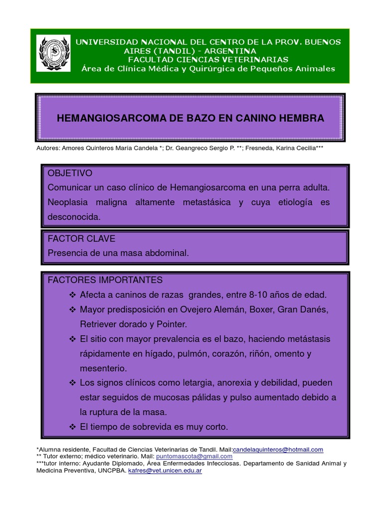 Hemangiosarcoma de bazo en perros | PDF | Cáncer | Metástasis
