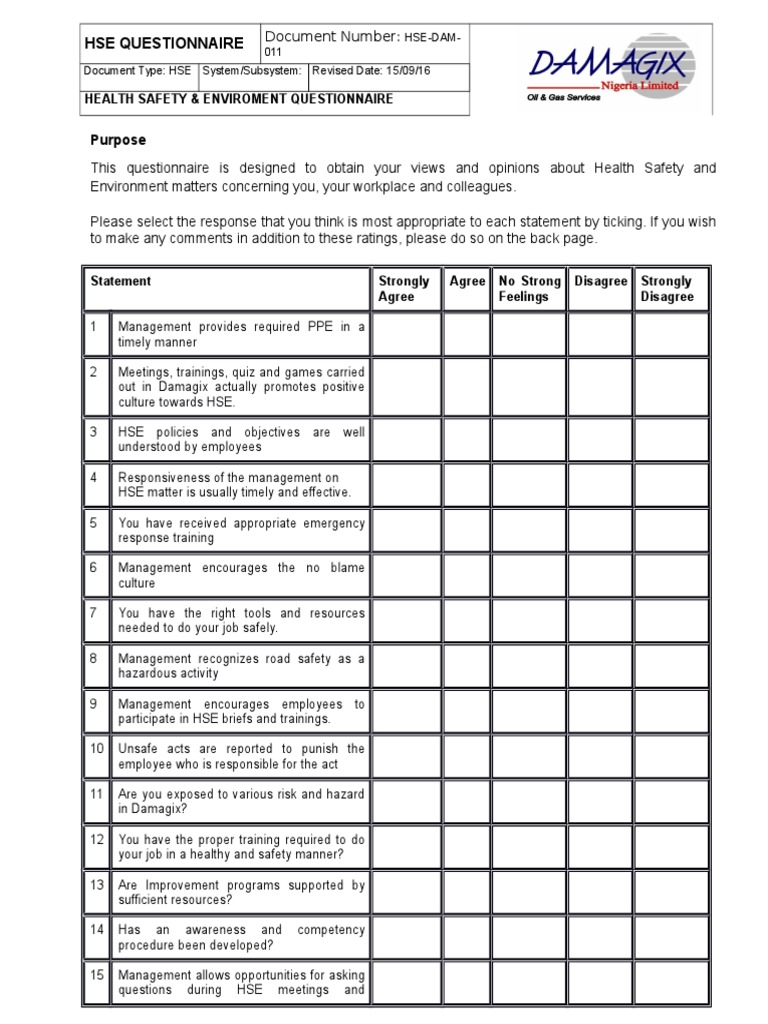 Hse Questionnaire | PDF | Employment | Audit