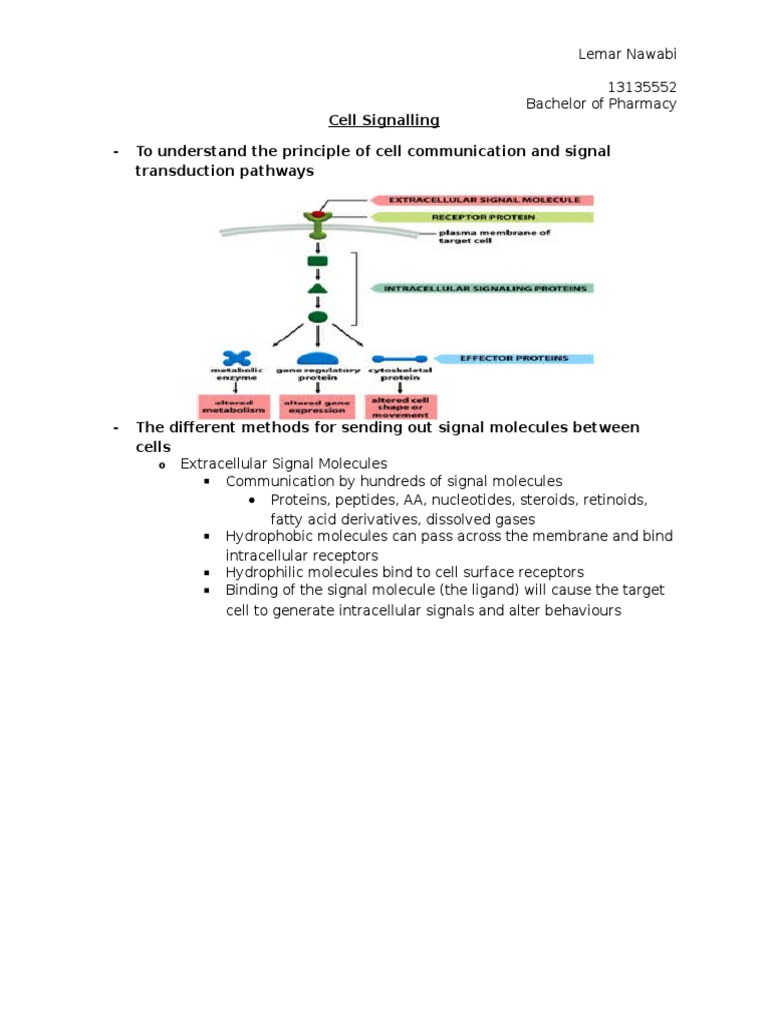 Cell Signalling | Download Free PDF | G Protein–Coupled Receptor | Cell Signaling