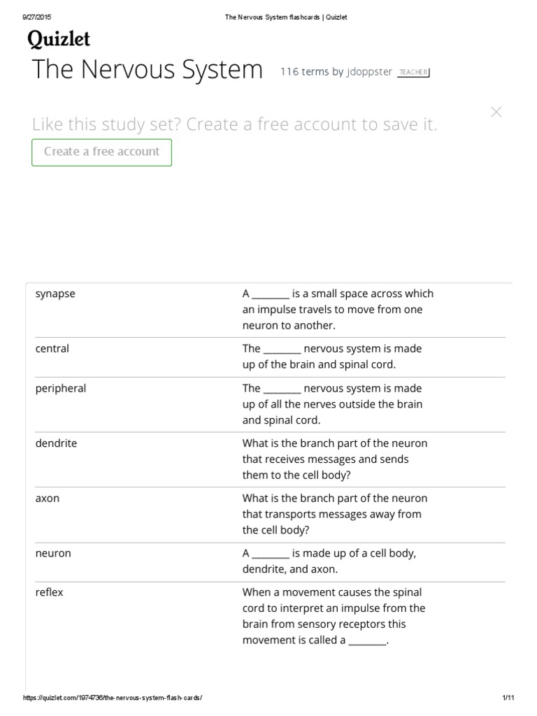 The Nervous System Flashcards - Quizlet | PDF | Neuron | Nerve