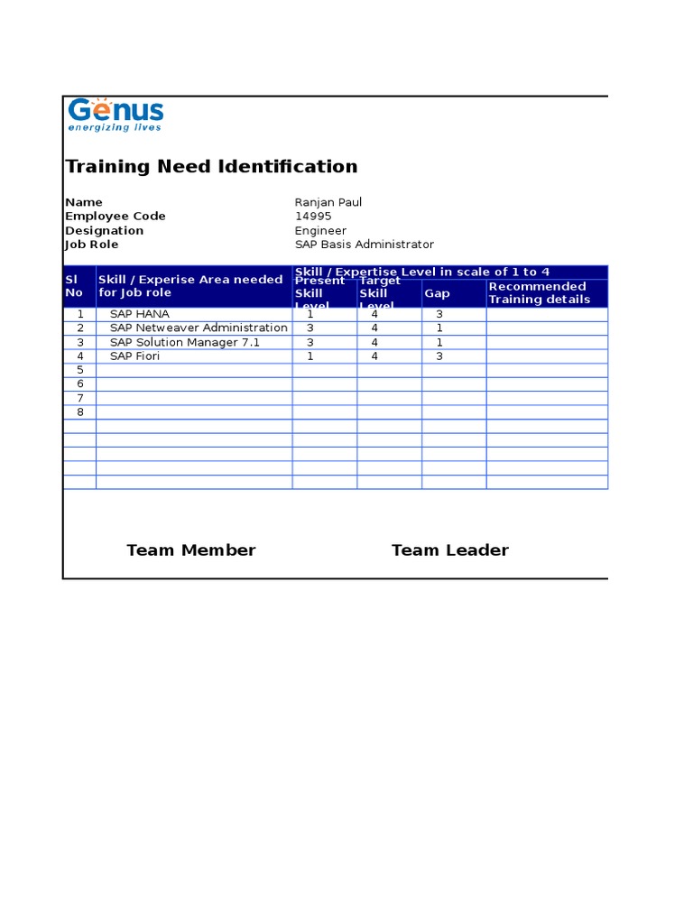 Training Need Identification: Team Member Team Leader | PDF
