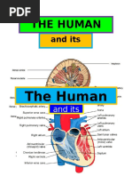 INSTITUTIONAL ASSESSMENT TOOLS (Templates) | PDF | Test (Assessment ...