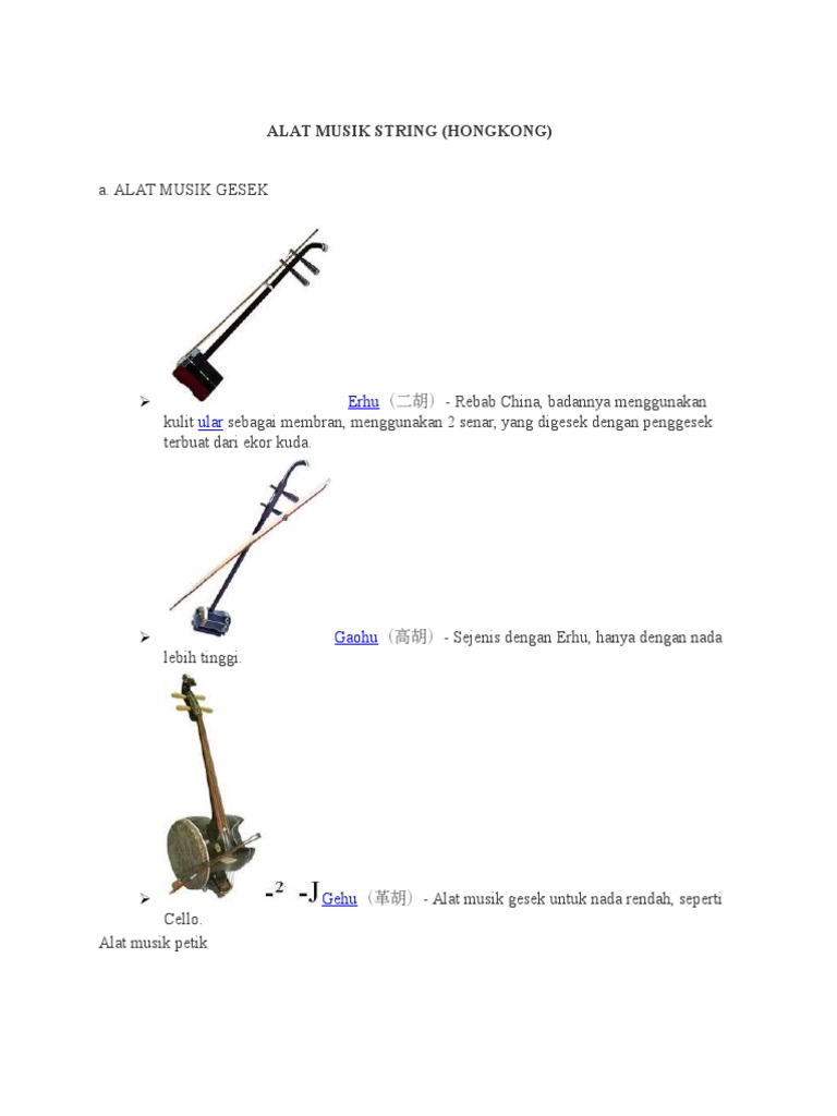 Alat Musik String | PDF