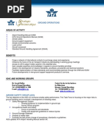IATA Standard Ground Handling Agreement 2023 | PDF | Baggage | Employment