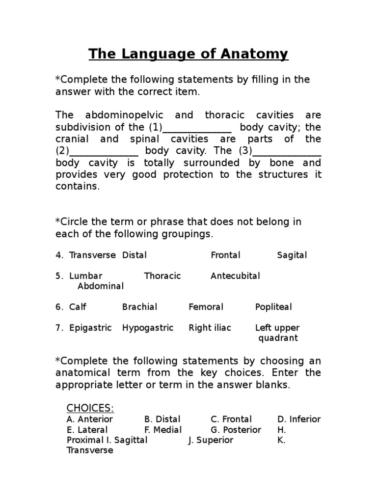 Language of Anatomy | PDF