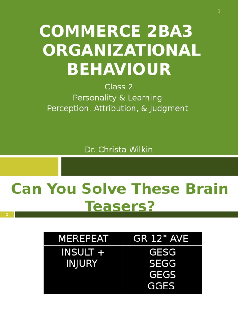 Commerce 2ba3 Organizational Behaviour: Class 2 Personality & Learning ...