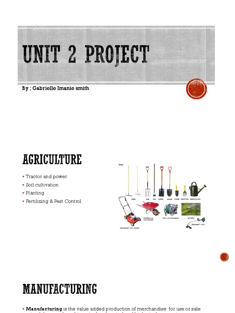 Unit 2 Project | PDF