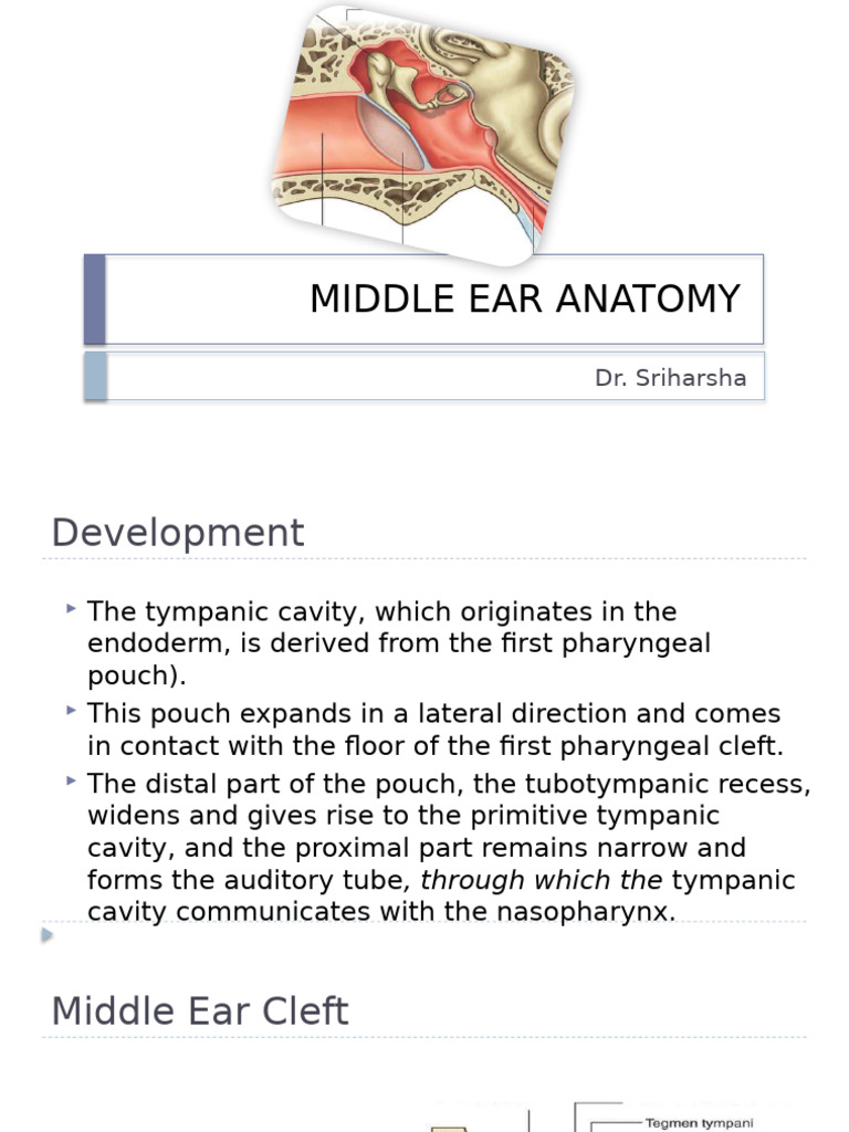 Middle Ear Anatomy | PDF | Ear | Human Anatomy