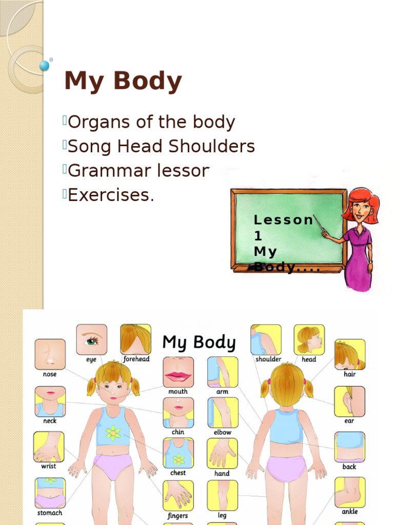 My Body: Organs of The Body Song Head Shoulders Grammar Lesson ...