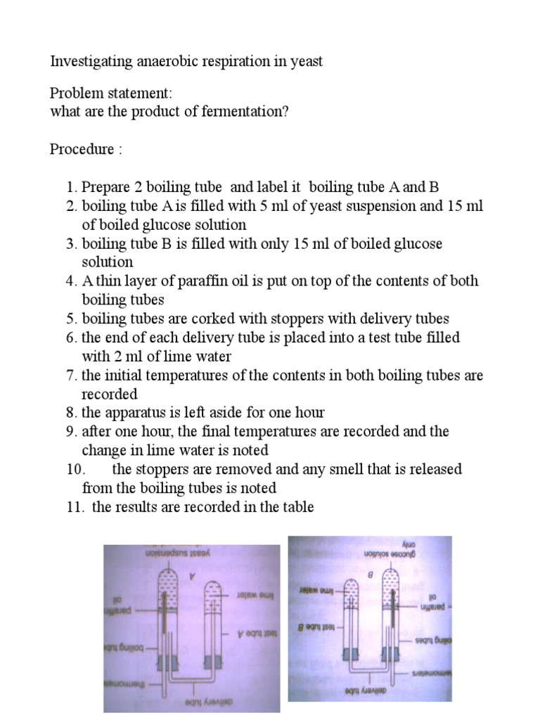 Anaerobic Respiration In Yeast Experiment