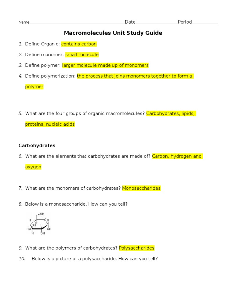 Macromolecules Study Guide Key 1 | PDF | Polysaccharide | Carbohydrates