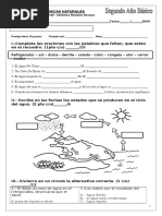 Guía del Ciclo del Agua 2° Básico | PDF