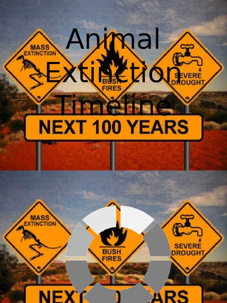 Animal Extinction Timeline | PDF | Conservation | Ecosystem