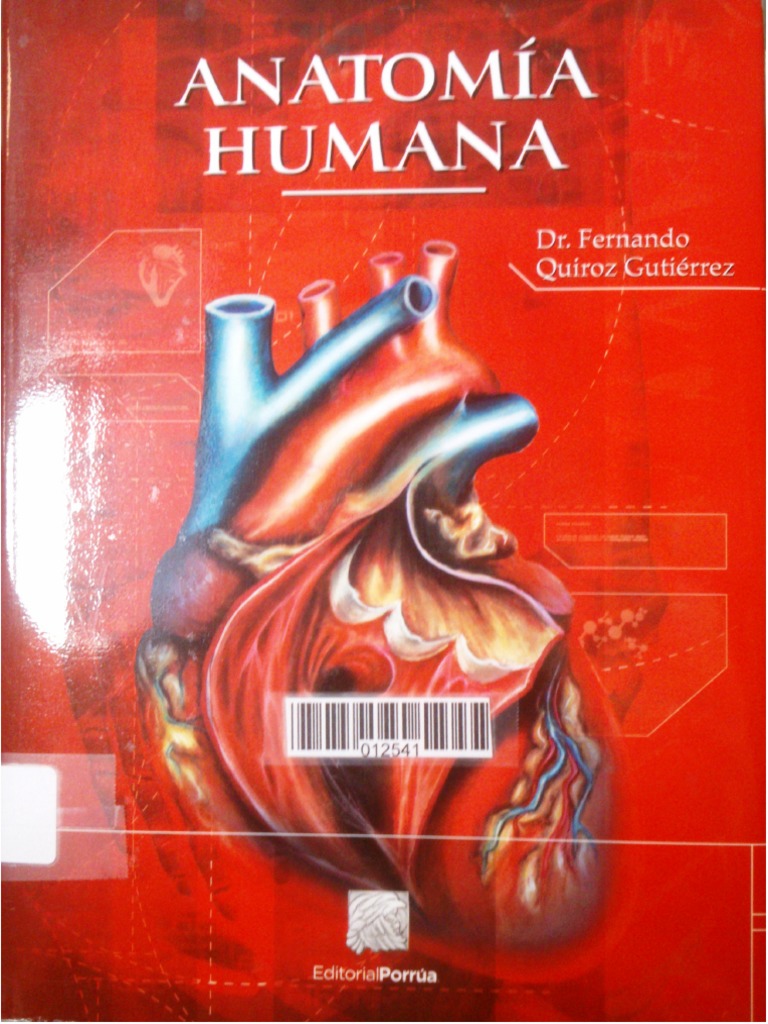 Anatomía - Quiroz 43ª [Tomo2]