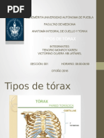 Tipos de tórax y sus características | PDF | Salud y bienestar | Historia