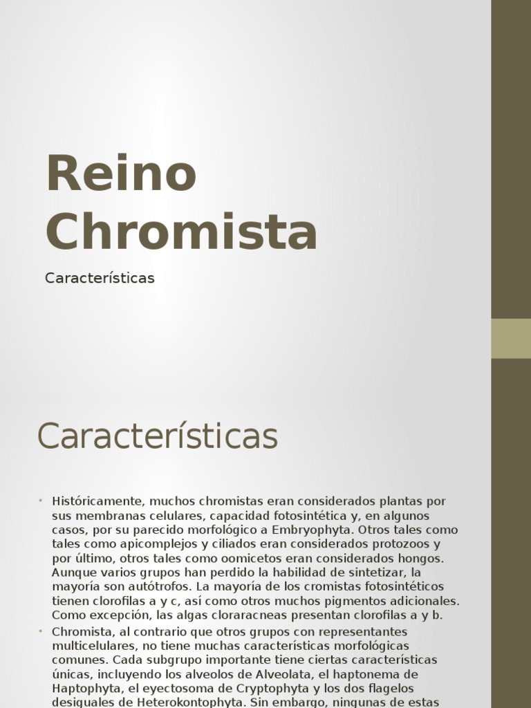Características del Reino Chromista | PDF