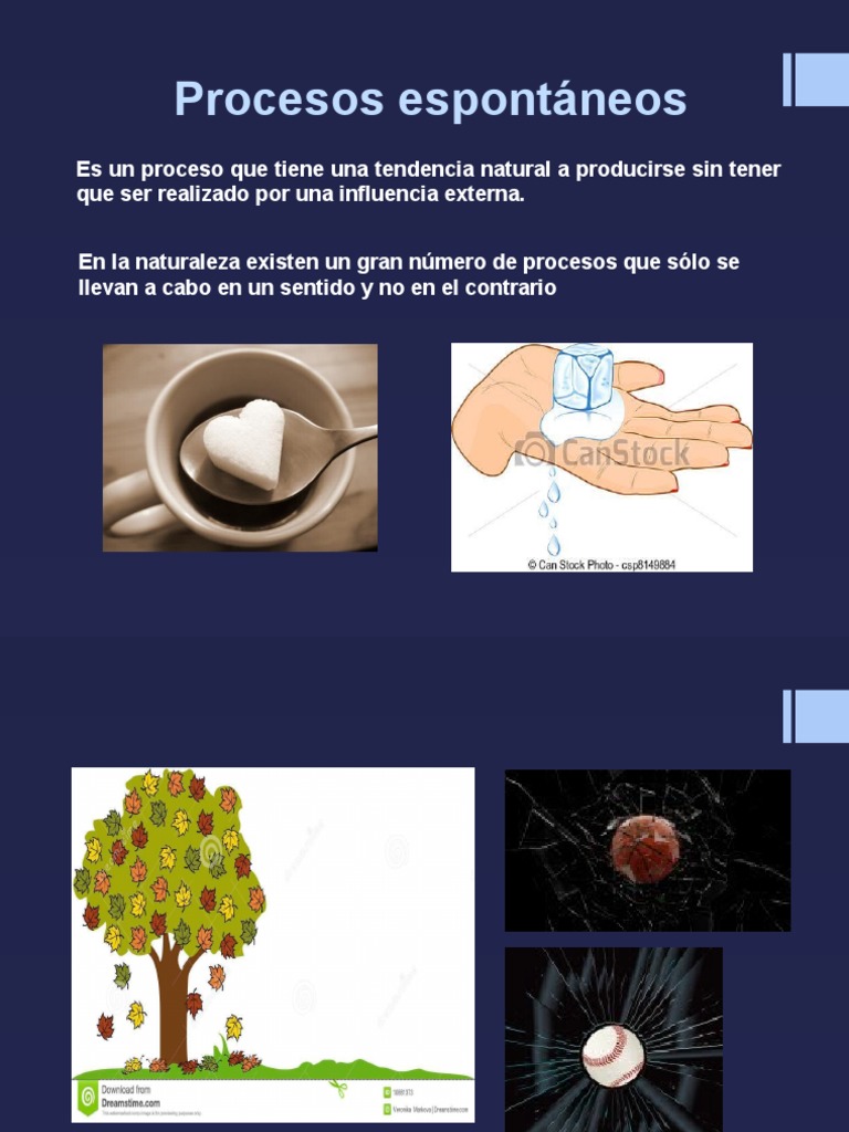 PROCESOS ESPONTÁNEOS Y CICLO DE CARNOT.pptx | PDF