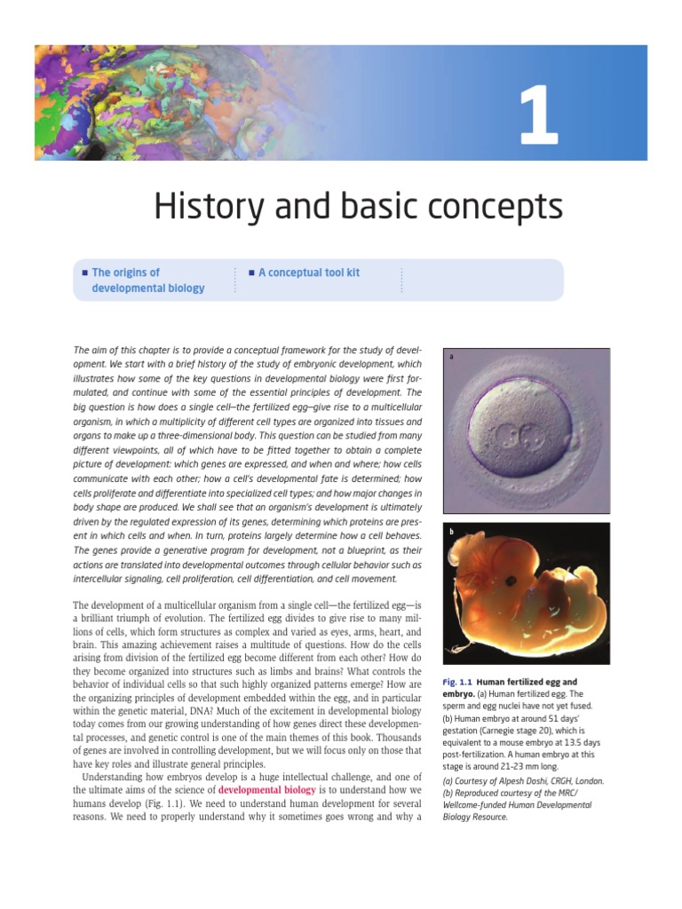 Principles of Development. Cap 1 | PDF | Developmental Biology | Zygosity