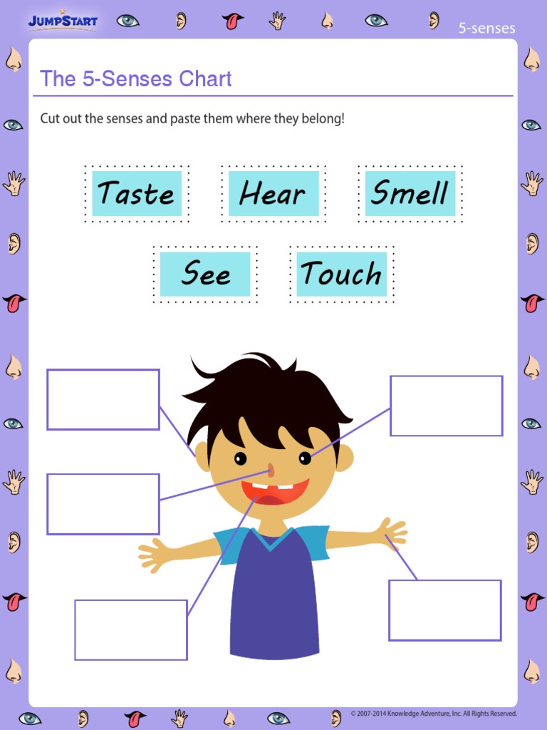 Taste Hear Smell See Touch: The 5-Senses Chart | PDF | Mental Processes ...