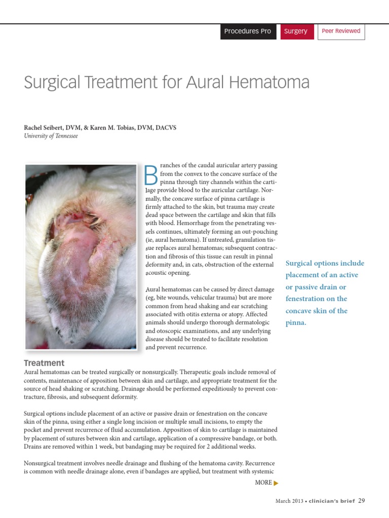 Surgical Treatment For Aural Hematoma | PDF | Surgical Suture | Surgery