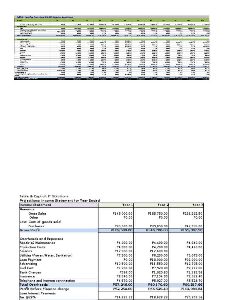 Kwazimu Guest House Accounts | Balance Sheet | Equity (Finance)