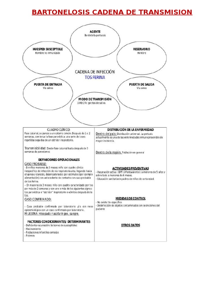 Bartonelosis Cadena de Transmision | PDF | Plasmodium | Epidemiología