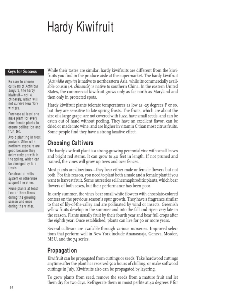 Kiwi Pdf Horticulture And Gardening Fruit