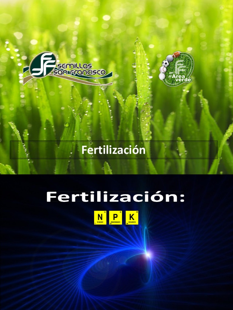 Fertilizacion De Los Pastos Bermuda Pdf Pdf Fertilizante Calcio