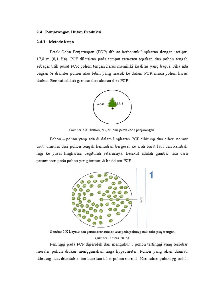 Metode Penjarangan Pohon Pinus | PDF | Griya & Taman