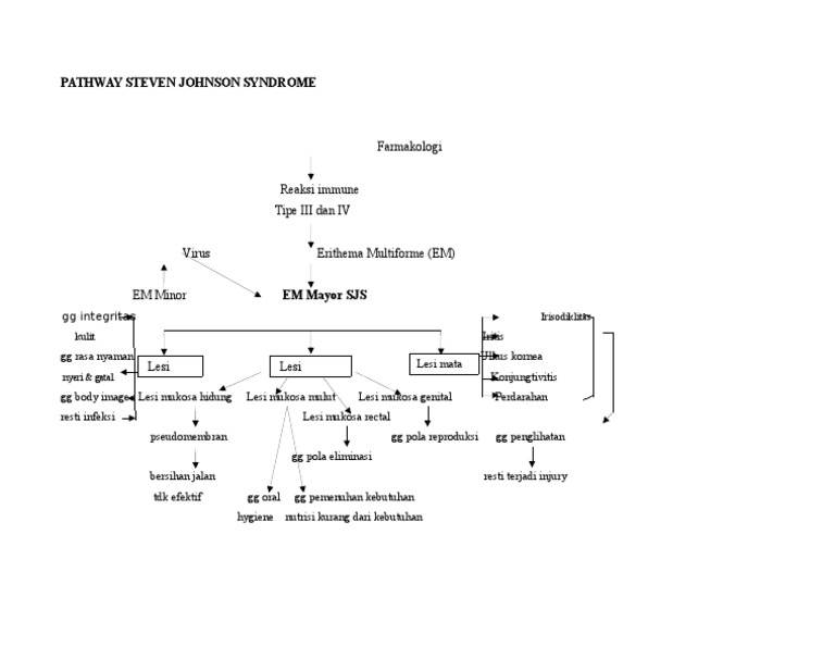 Pathway Steven Johnson Syndrome | PDF | Syndrome | Drugs