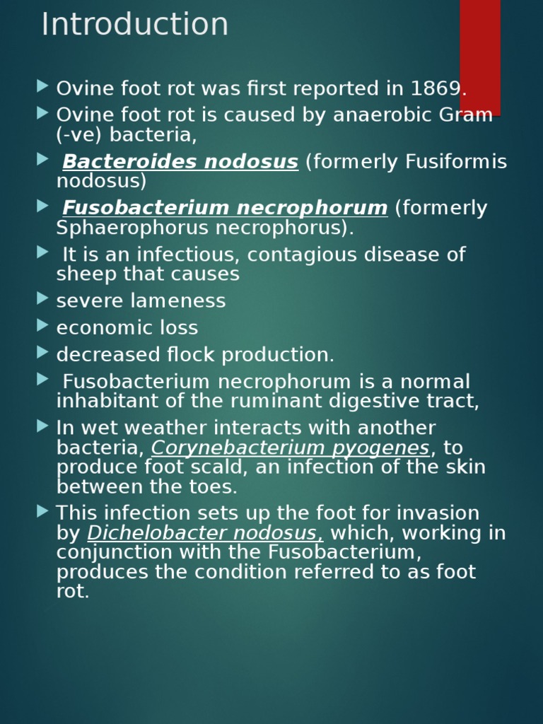 A Comprehensive Guide to the Diagnosis, Treatment, Prevention and ...