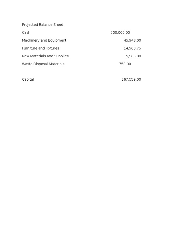 Projected Balance Sheet | PDF
