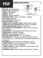 Enterobius vermicularis: Ciclo y Tratamiento | PDF | Epidemiología ...