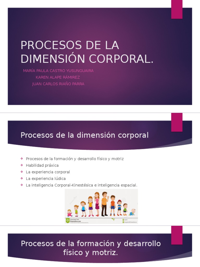 Procesos de La Dimensión Corporal | PDF