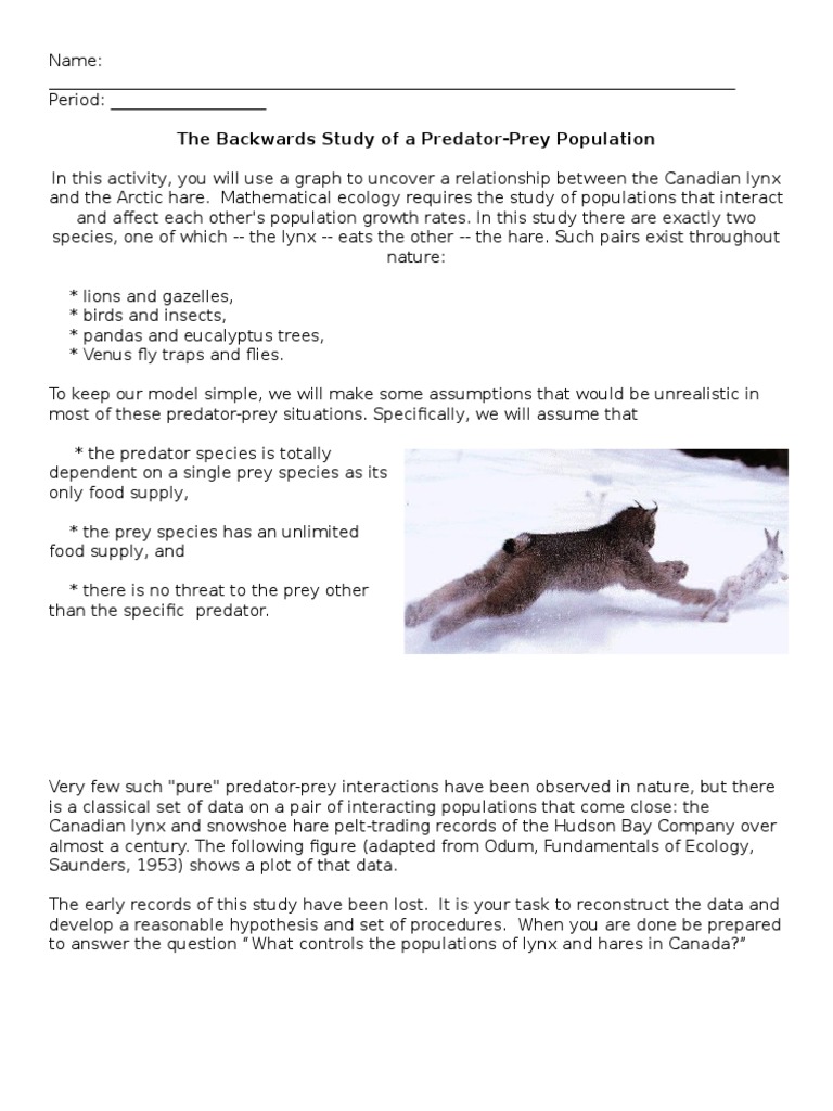 Backwards Predatory Prey Graph | PDF | Predation | Organisms