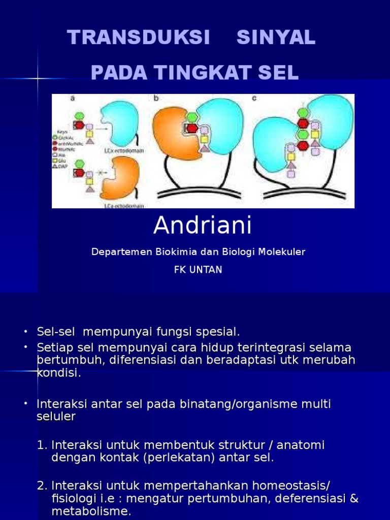 Transduksi Sinyal | PDF