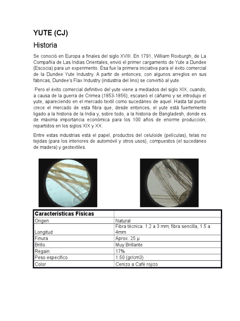 Yute y Rayon Acetato | PDF | Seda artificial | Materiales