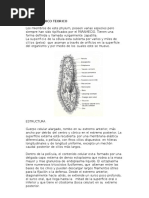Partes y características del paramecio | PDF | Bioquímica | Química