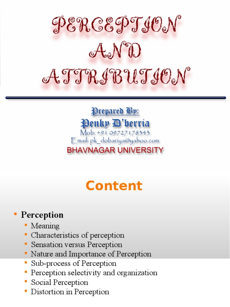 Perception & Attribution (Penky) | PDF | Perception | Attention