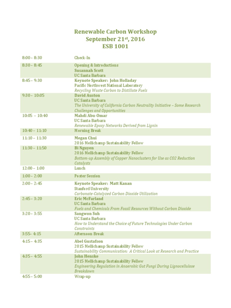 Renewable Carbon Workshop Program | PDF