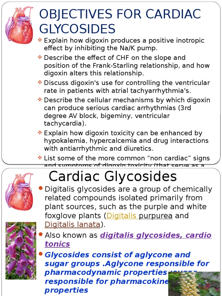 Cardiac Glycosides Scribd Cardiac Arrhythmia Cardiovascular System
