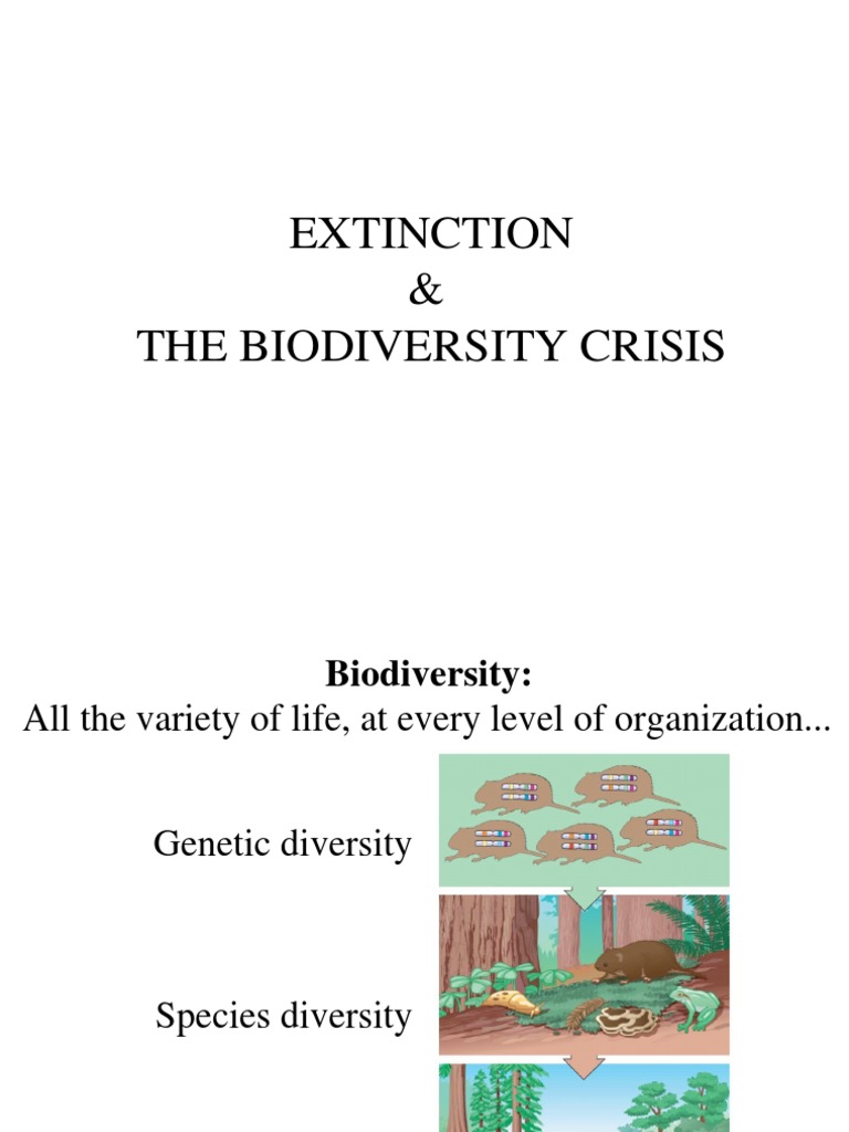 Lect 27 - Extinction & Biodiversity Crisis.ppt | Extinction | Biodiversity