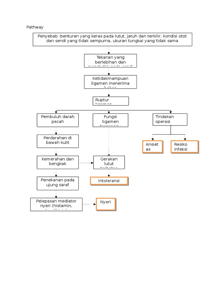 Pathway Ruptur Acl | PDF