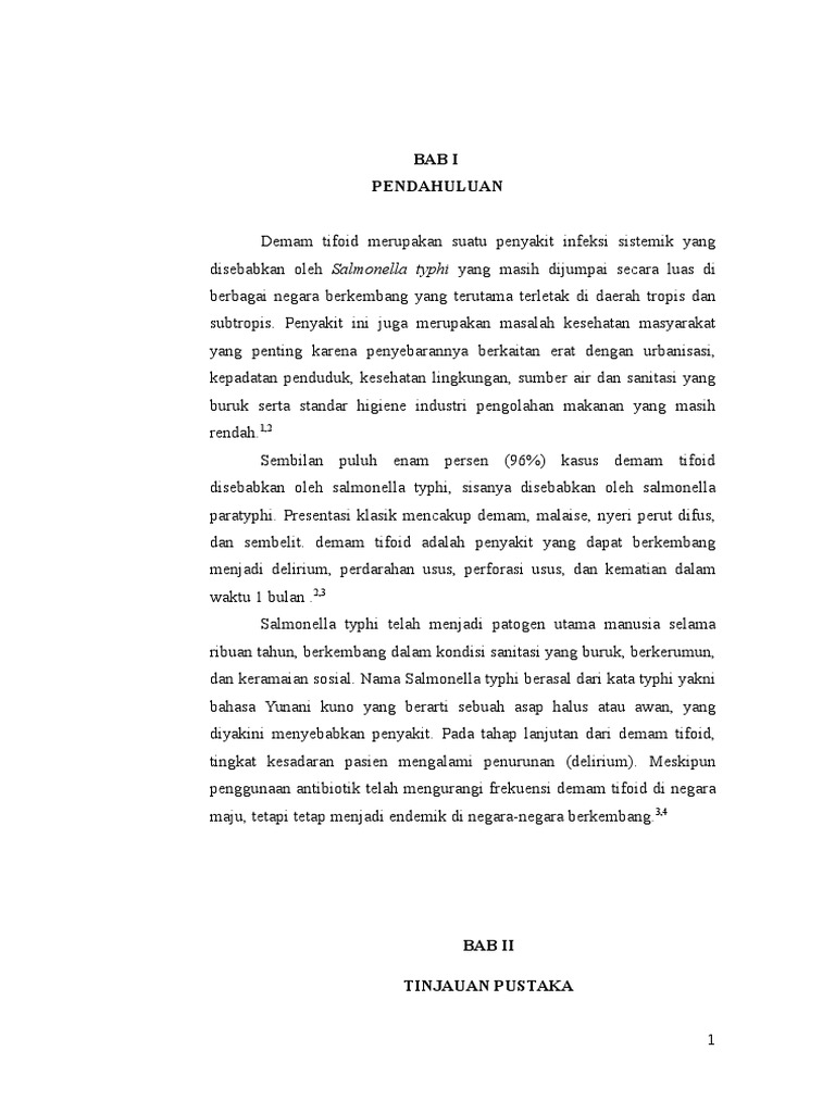 Epidemiologi dan Patogenesis Demam Tifoid | PDF